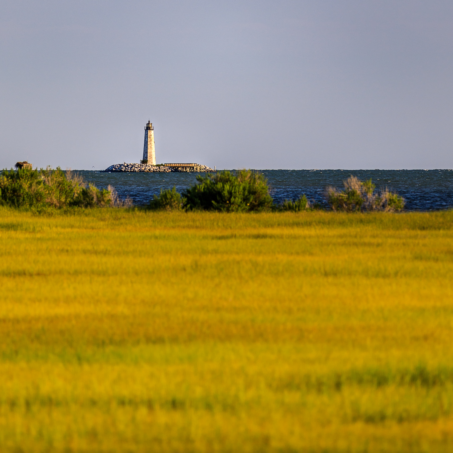 The Camera Gear You Really Need - Caroline Maryan Photography