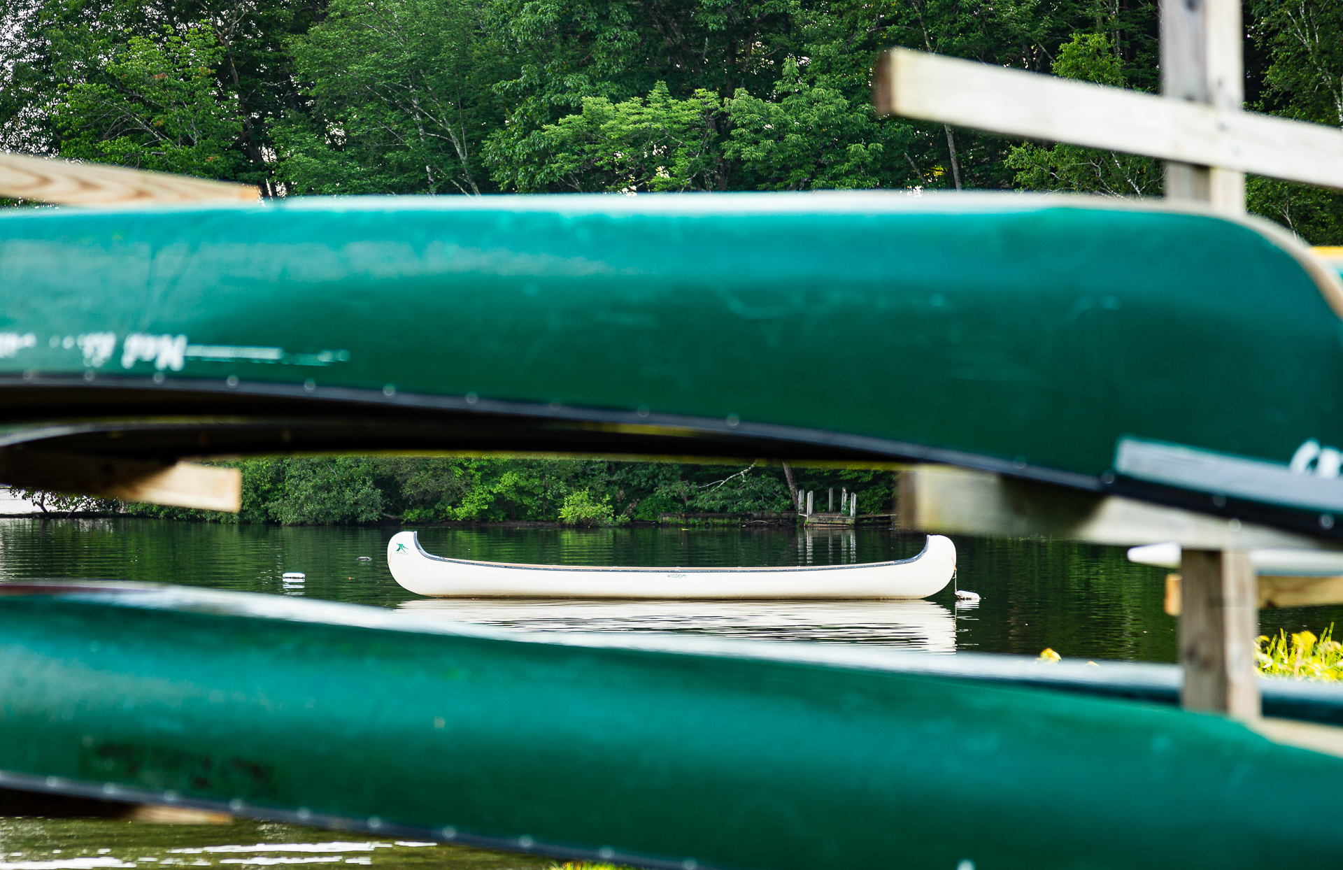 Use Framing to Add Depth to Your Photo - Caroline Maryan Photography