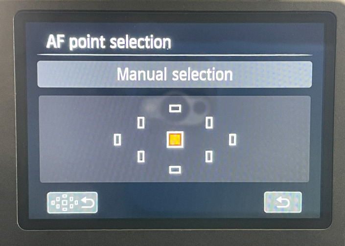 Set your Focus Point for Better Shots - Caroline Maryan Photography