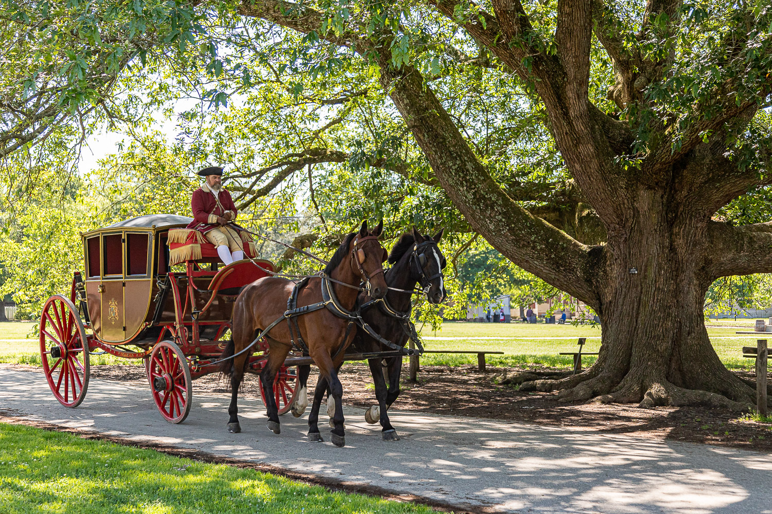 Spring Visit to Colonial Williamsburg - Caroline Maryan Photography