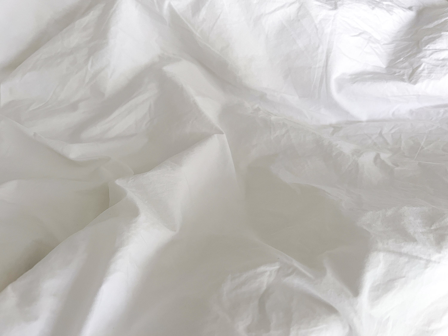 Megapixels and Megabytes Explained - Caroline Maryan Photography