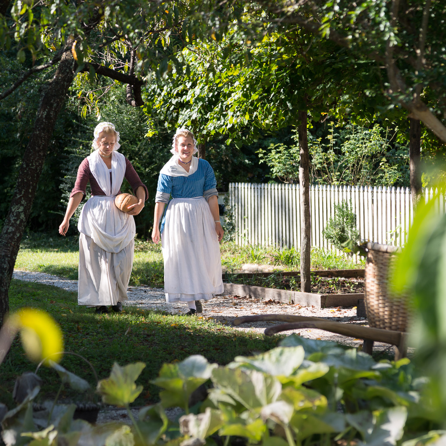 Creative Ways to Use Aperture Mode - Caroline Maryan Photography