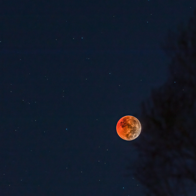 Blood Moon Photo Tips - Caroline Maryan Photography