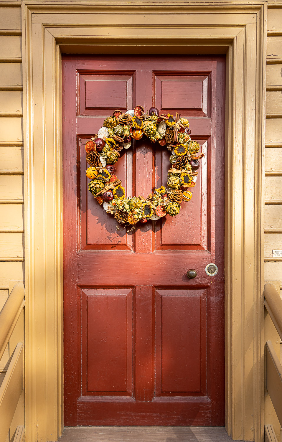 Shooting Fall Colors - Caroline Maryan Photography