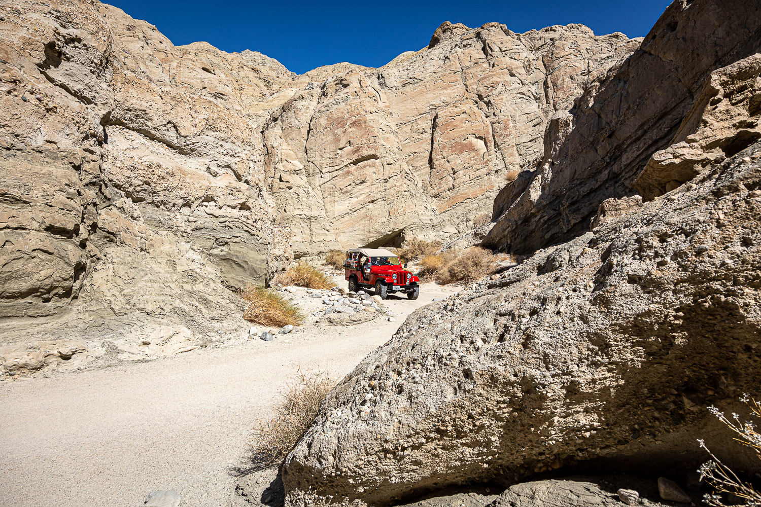 Palm Springs in Spring - Caroline Maryan Photography