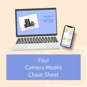 Camera Settings Cheat Sheet - Caroline Maryan Photography